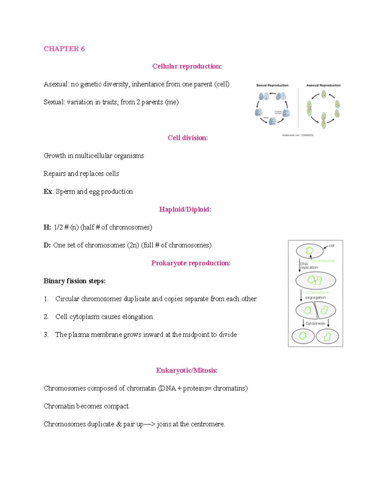 Chapter 6: Biology - Pictures included. Information and terms on ...