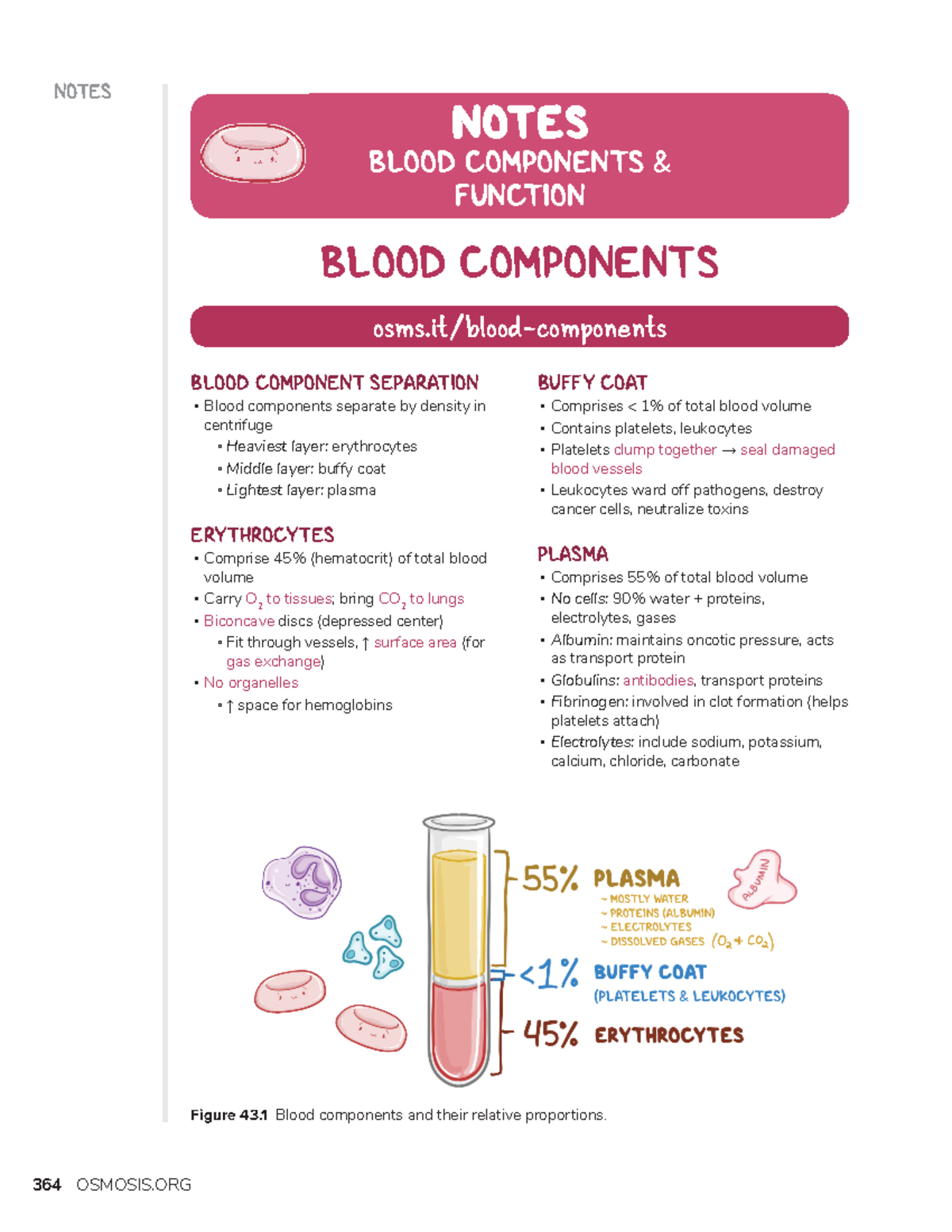 Blood%20components%20and%20function - NOTES BLOOD COMPONENT SEPARATION ...