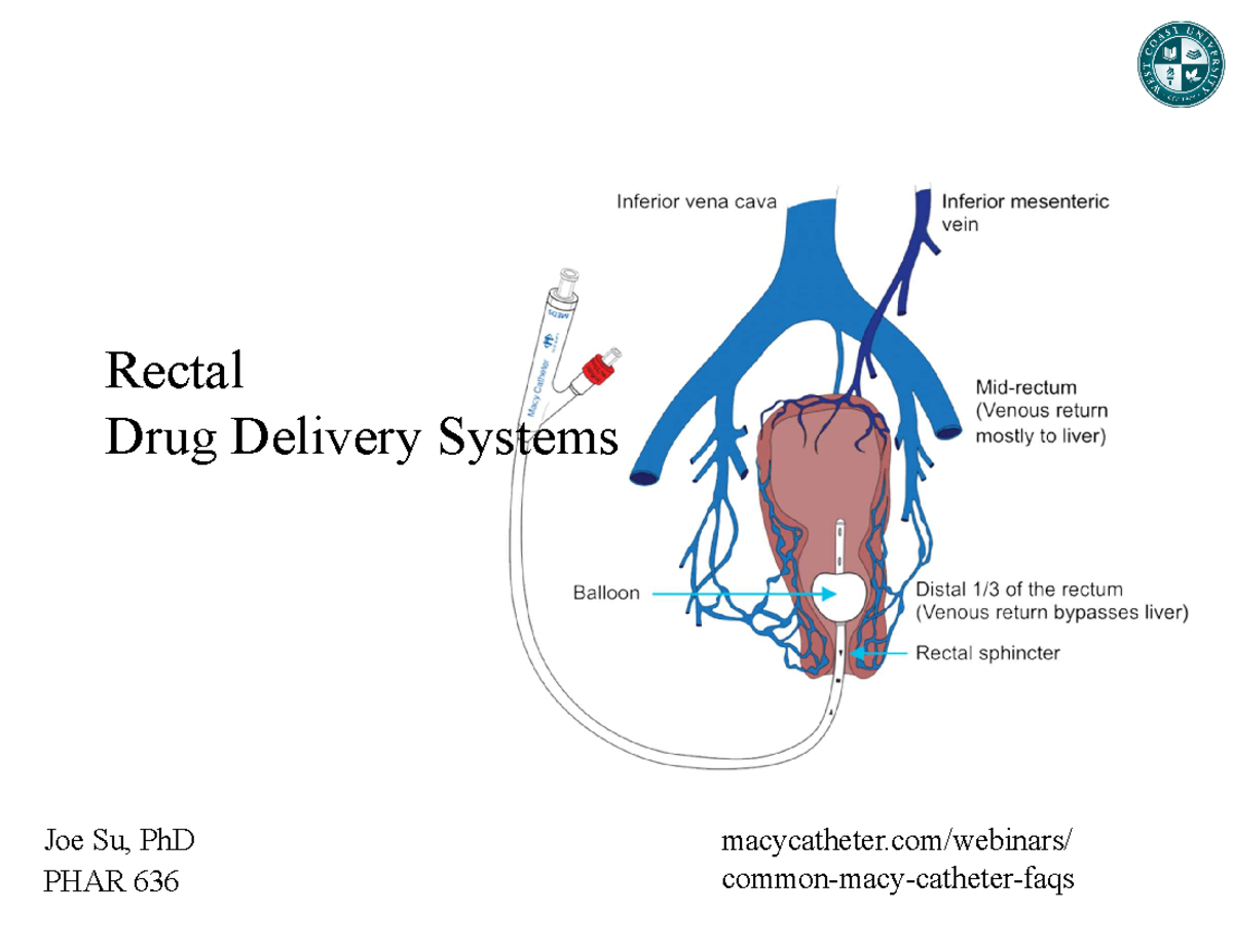 636 8.2 Rectal DDS - FINAL EXAM NOTES - Rectal Drug Delivery Systems ...
