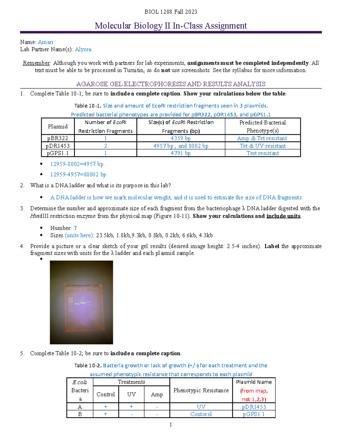 Molecular Biology II ICA - BIOL 1208 Fall 2023 Molecular Biology II In-Class Assignment Name ...
