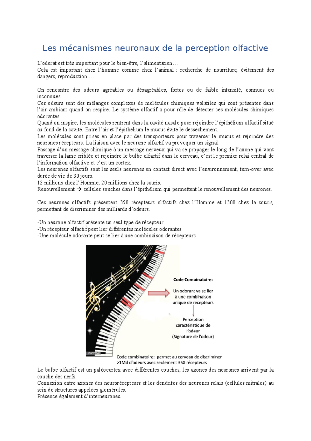 Les mécanismes neuronaux de la perception olfactive - Les mécanismes ...