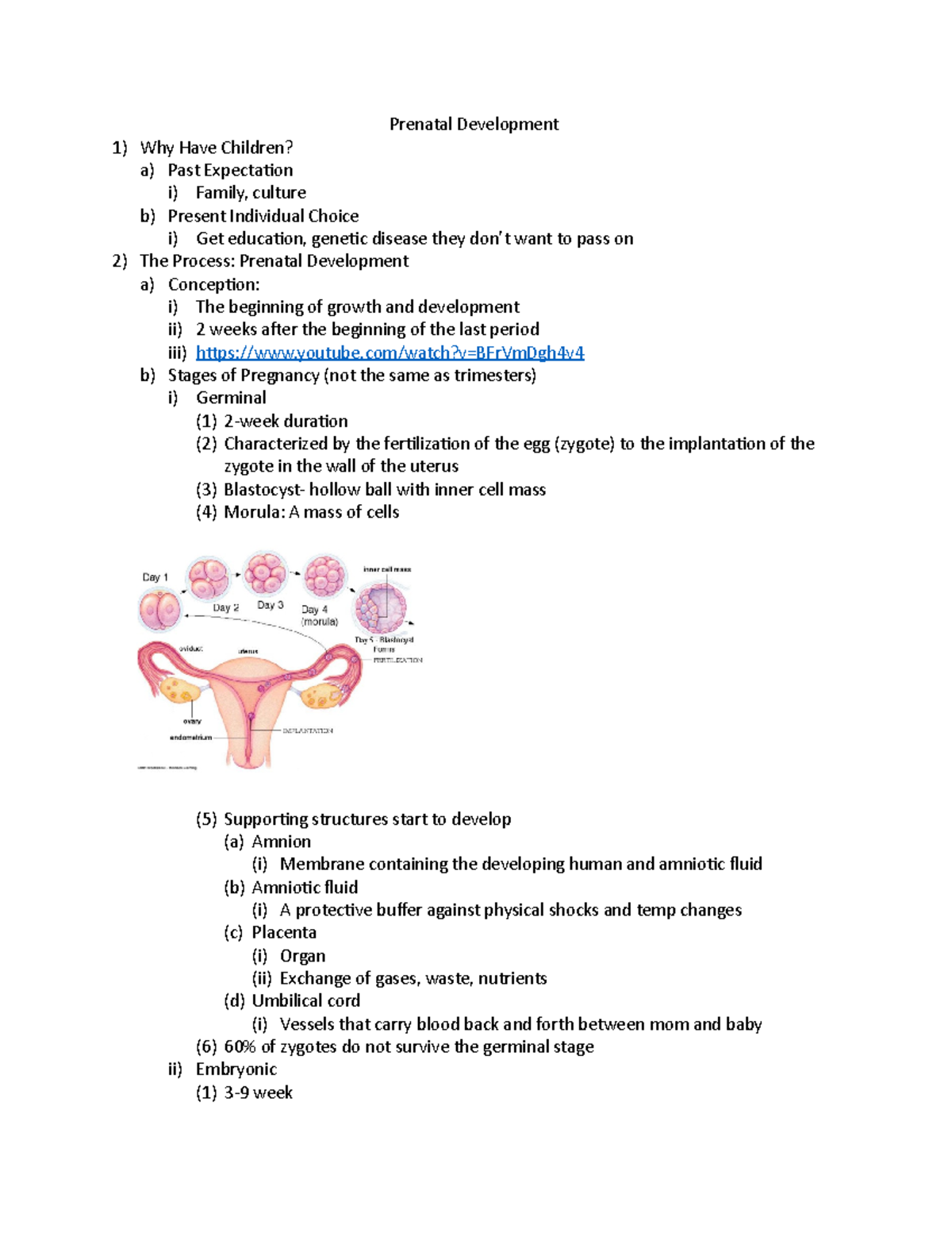 Prenatal Development - Lecture notes form in person lecture - Prenatal ...