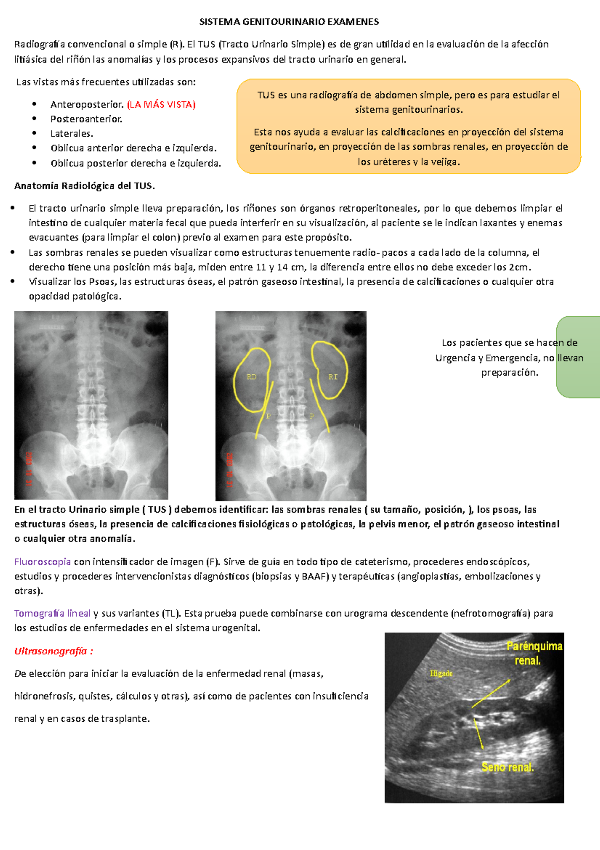 Renal - Sistema Genitourinario Examenes (Resumen) - SISTEMA ...