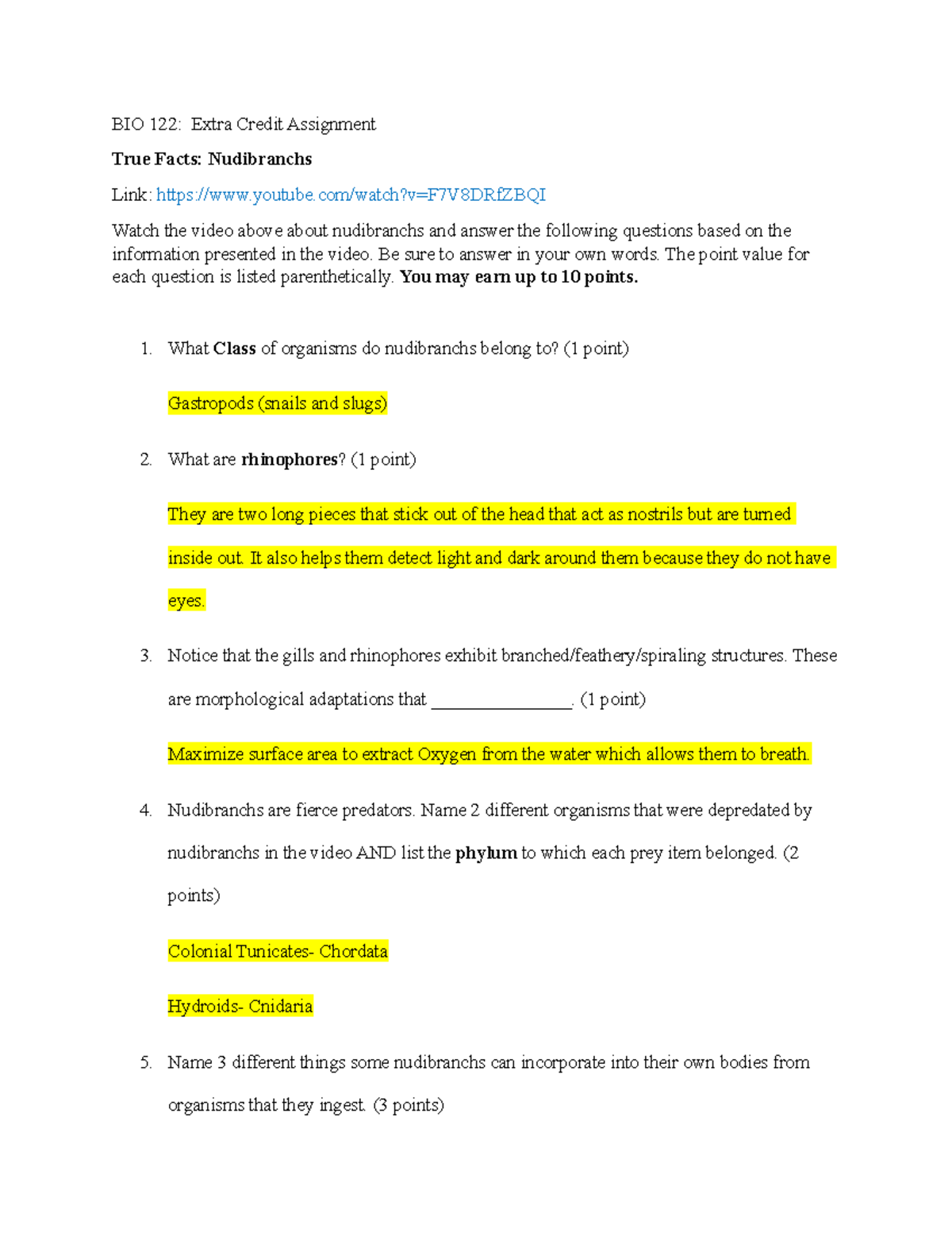 Nudibranch Extra Credit Assignment - BIO 122: Extra Credit Assignment ...