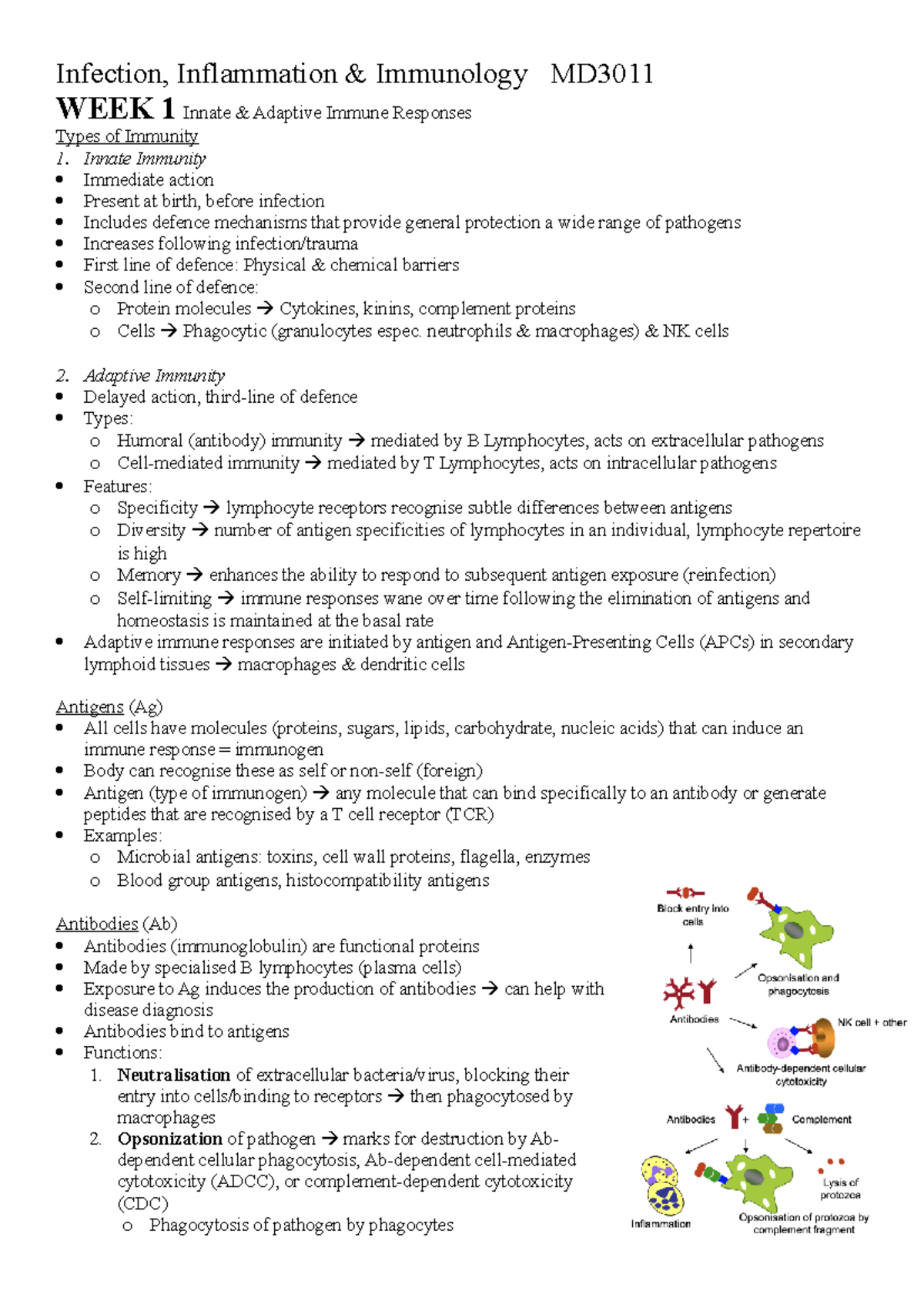 Infection, Inflammation & Immunology Notes - Infection, Inflammation ...