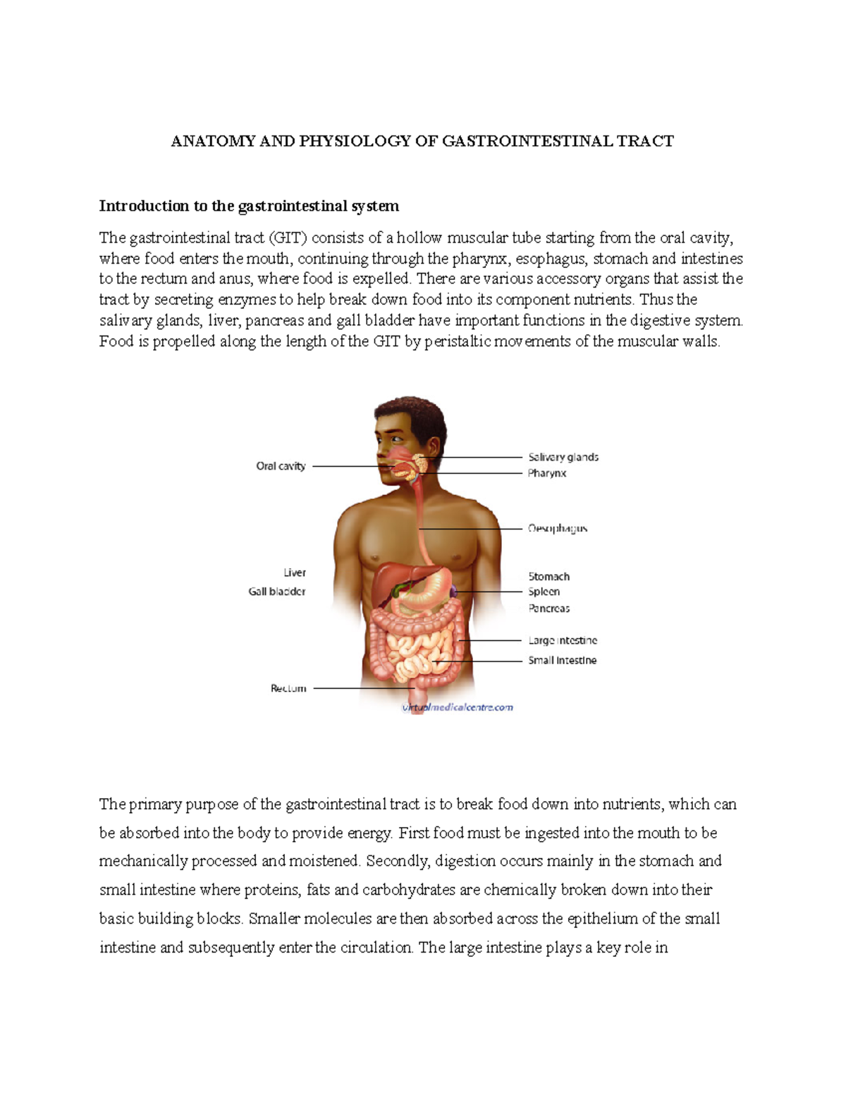 GI tract anatomy - ANATOMY AND PHYSIOLOGY OF GASTROINTESTINAL TRACT ...