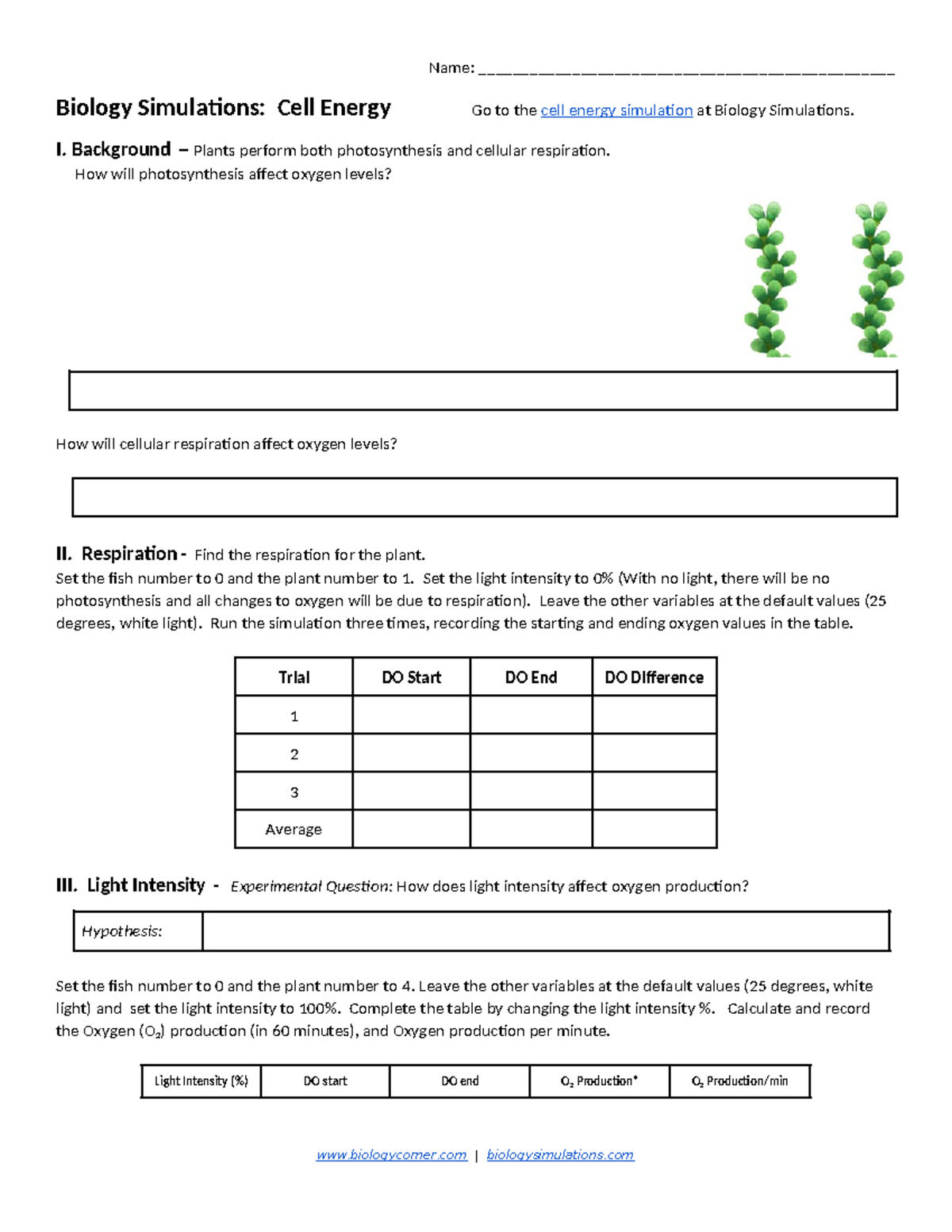 Investigation - Photosynthesis and Respiration - Name: - Studocu