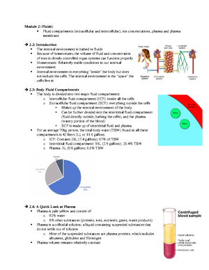 Module 1 (Physiology); Physiology : UOFT - Module 1 (Physiology ...