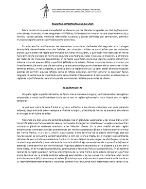 Patrones de movimiento multiarticular - Exp Brain Res (1995) 107:254 ...