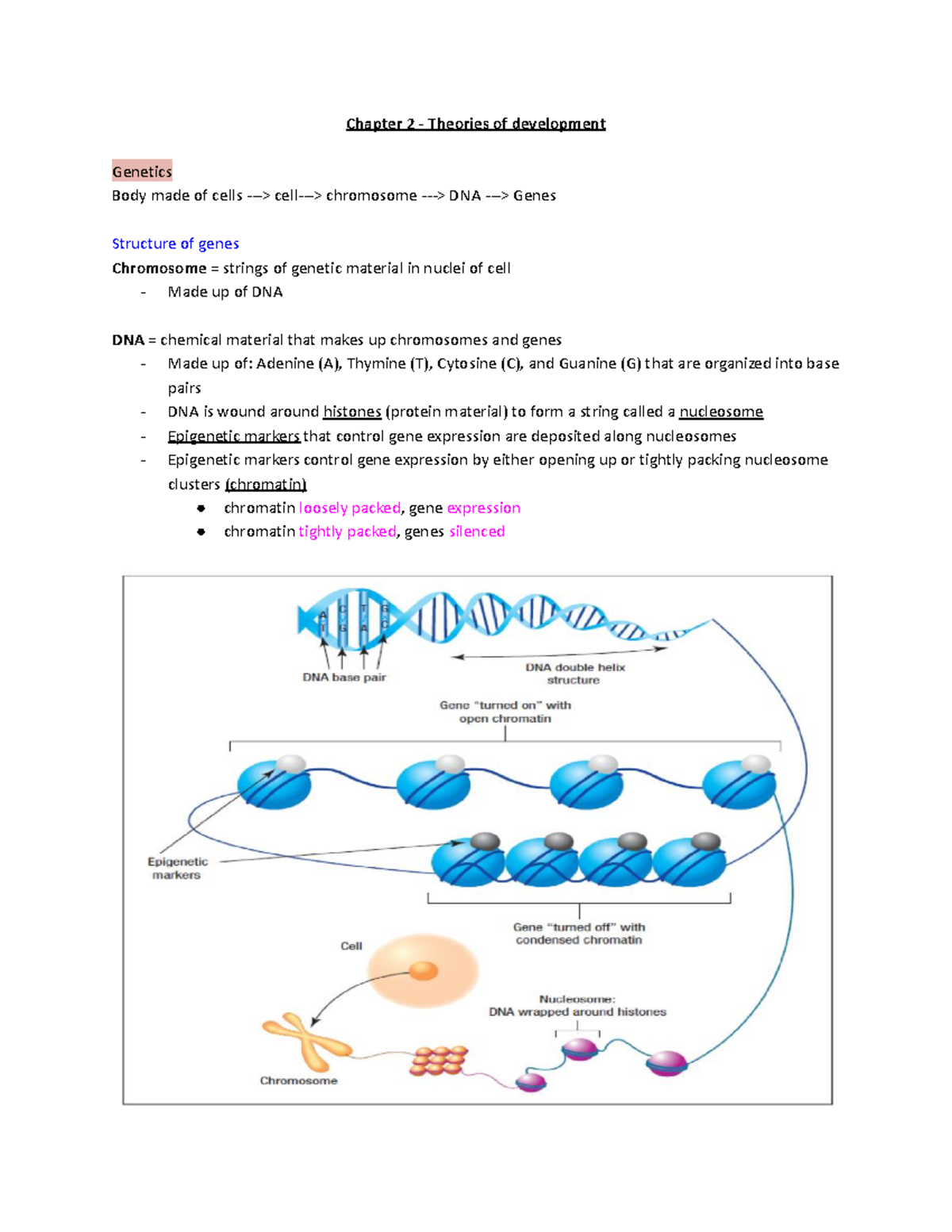 C2- Theories of Development - Chapter 2 - Theories of development ...