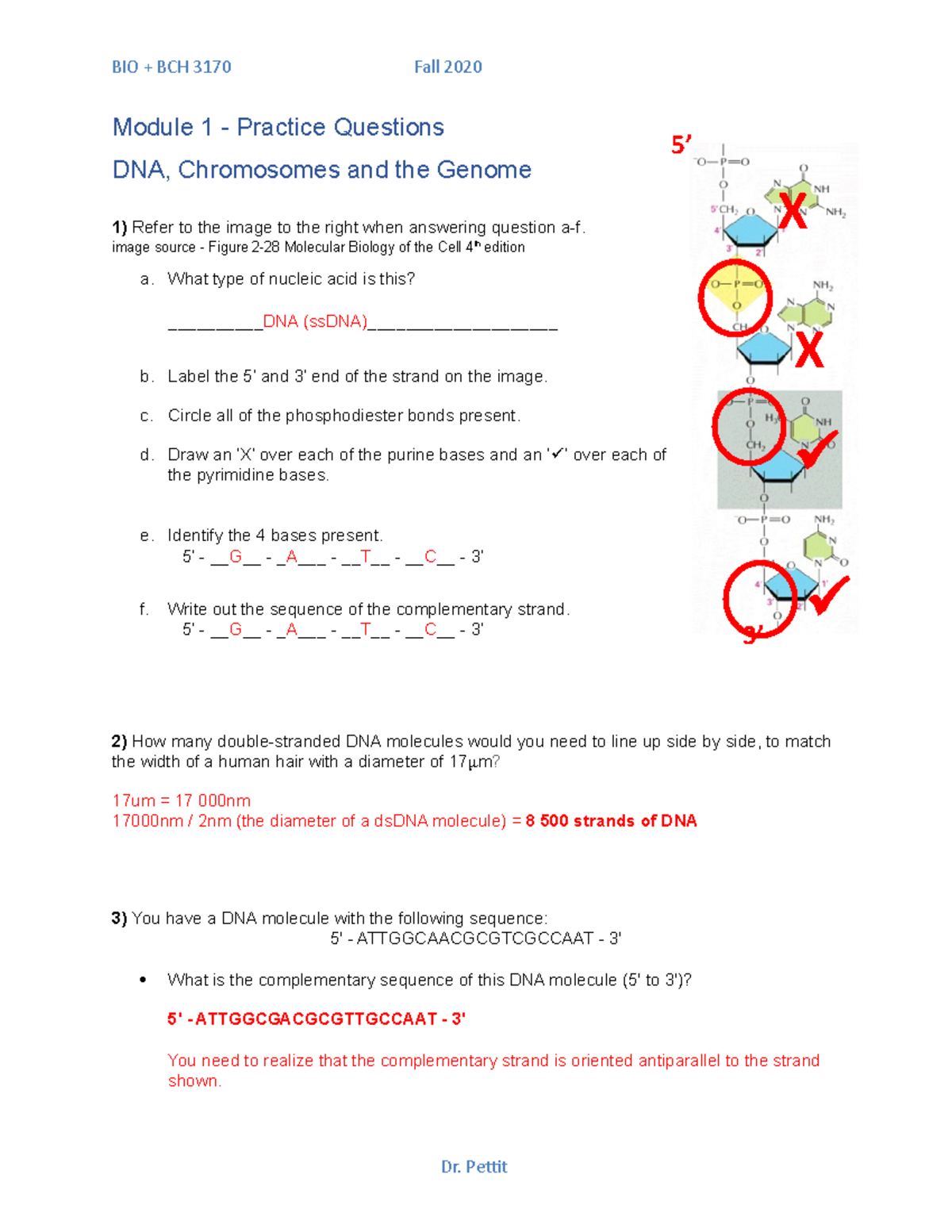 BIO+BCH3170 Module 1 Practice Problems Fall2020 Solutions - Module 1 ...