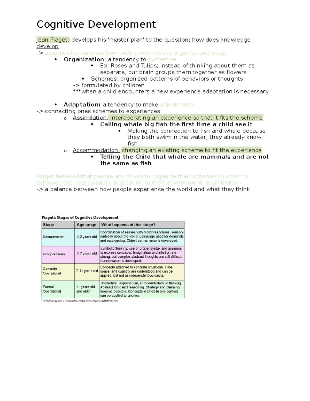 Cognitive Development Notes - Cognitive Development Jean Piaget ...