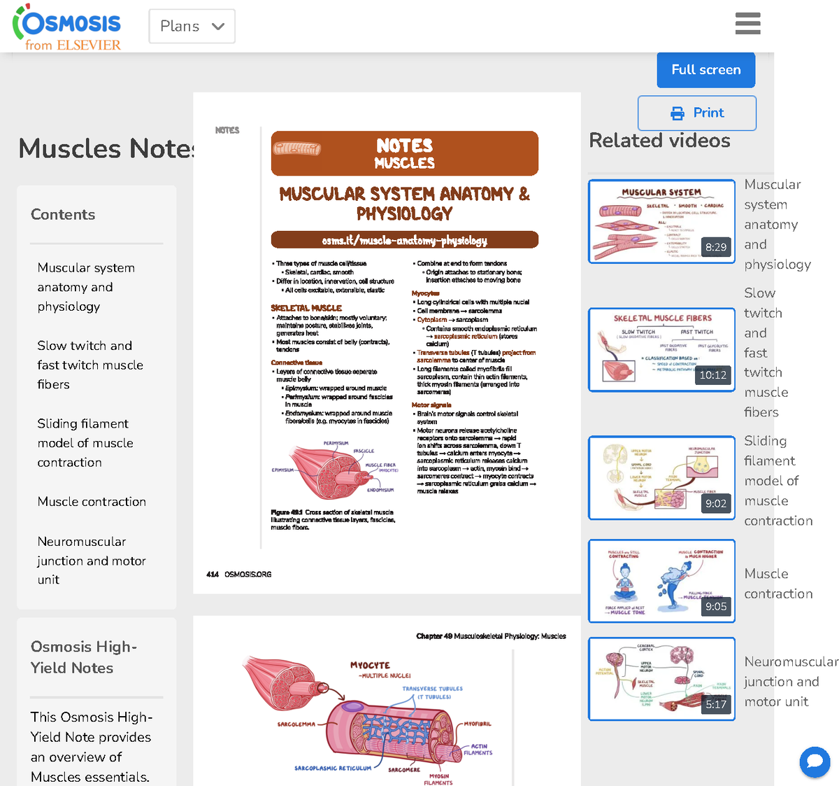 Muscles Notes Diagrams & Illustrations Osmosis - Muscles Notes Contents ...