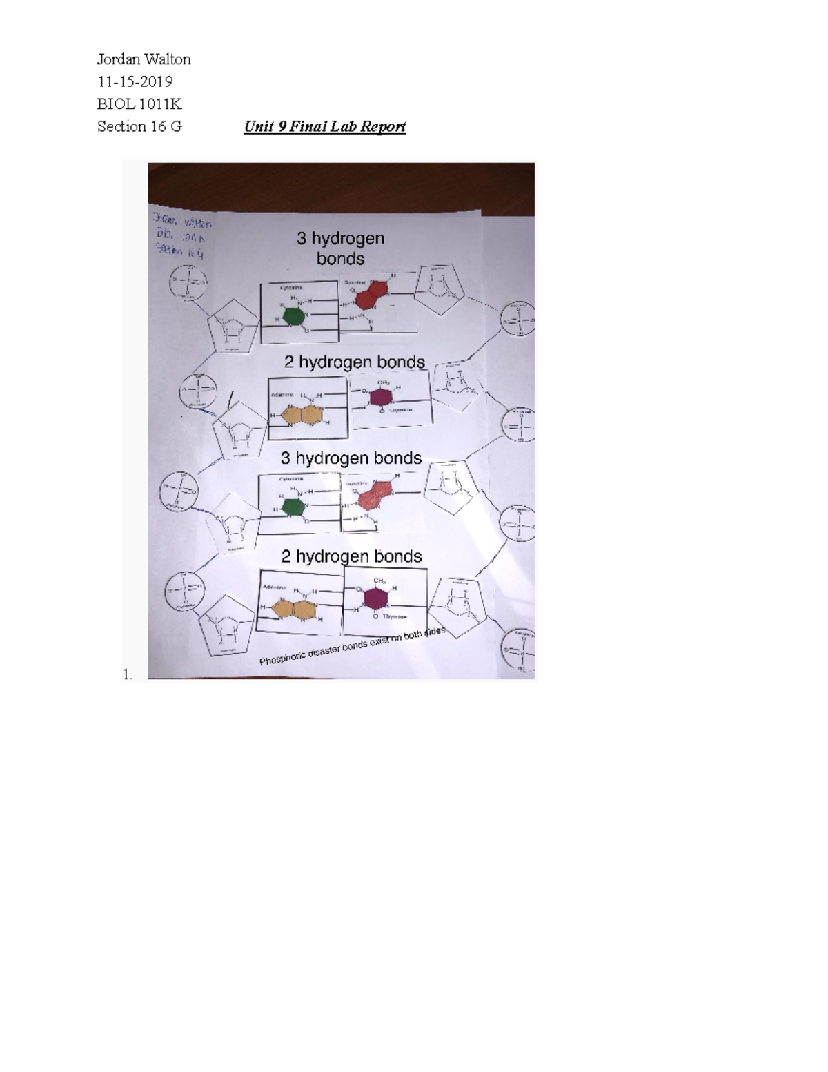 Unit 9 Final Lab Report - Assignment for class - 11-15- BIOL 1011K ...