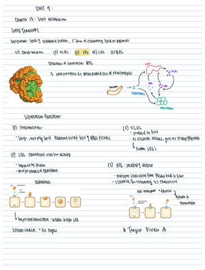 Biochem unit 2 - class notes unit 2 - Lecturer MYOGLOBIN HEMOGLOBIN ...