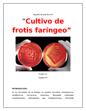 Generalidades DE LA Micología - GENERALIDADES DE LA MICOLOGÍA ...