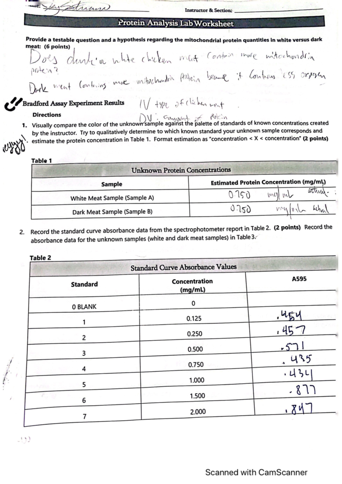 JSatriano Proteinanalysislab - BIO-181L - Studocu