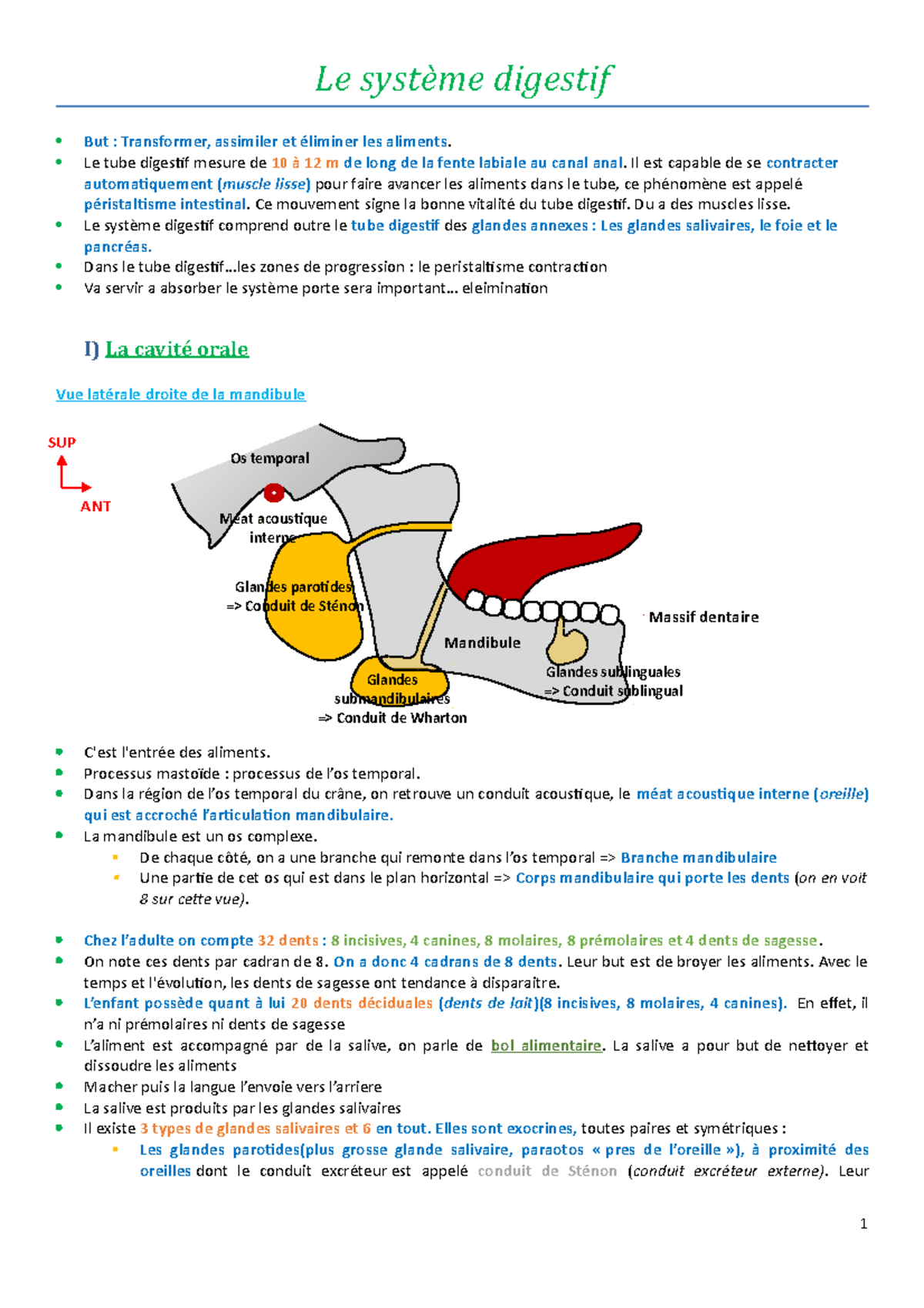 Chapitre 5 - Le systeme digestif - Le système digestif But ...