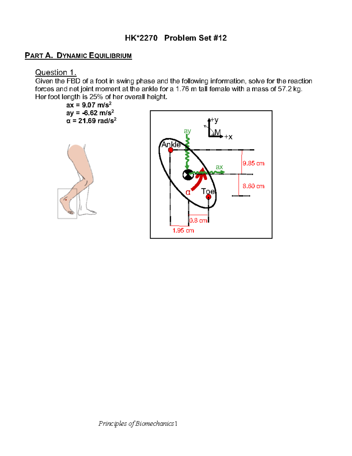 Problem Set 12 Dynamic Equilb &Energy Work&Power 2023 - HK*2270 Problem ...
