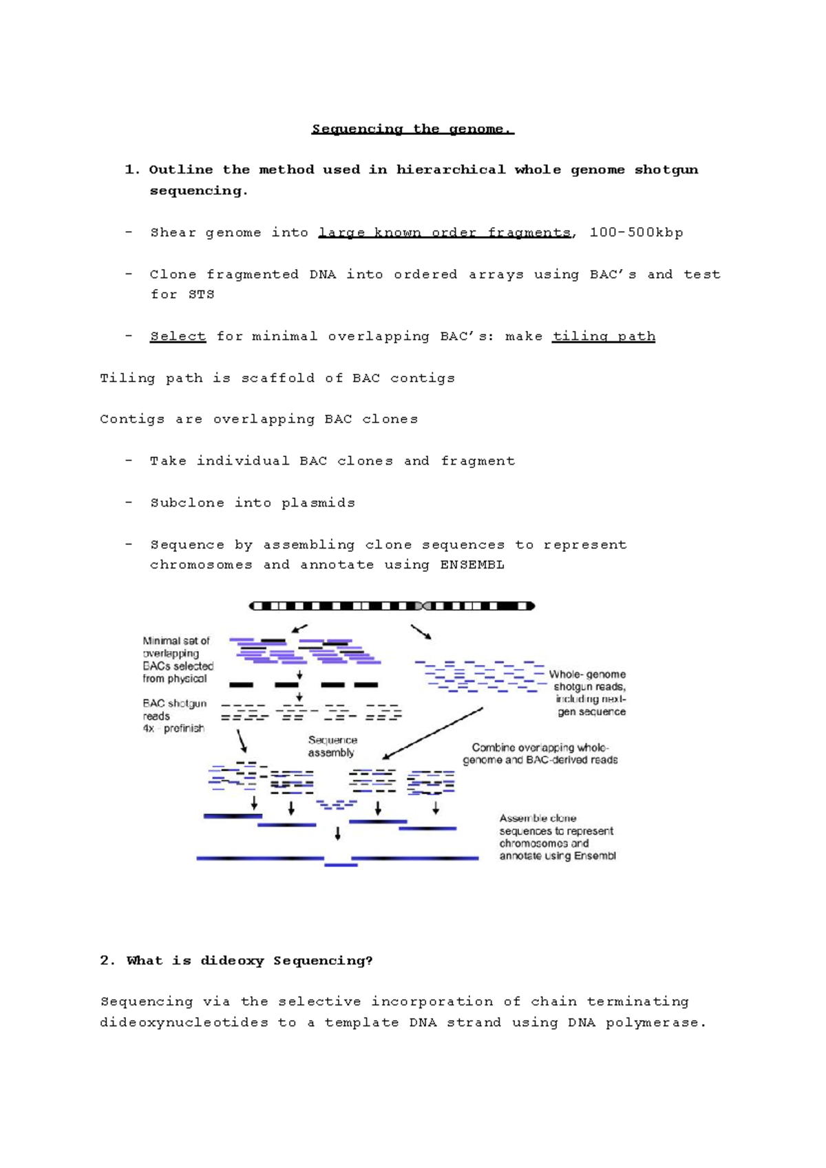 Sequencing the genome - Outline the method used in hierarchical whole ...