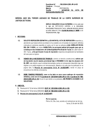 Carta DE Renuncia - reffseewsr - CARTA DE RENUNCIA Huancayo, 30 De ...