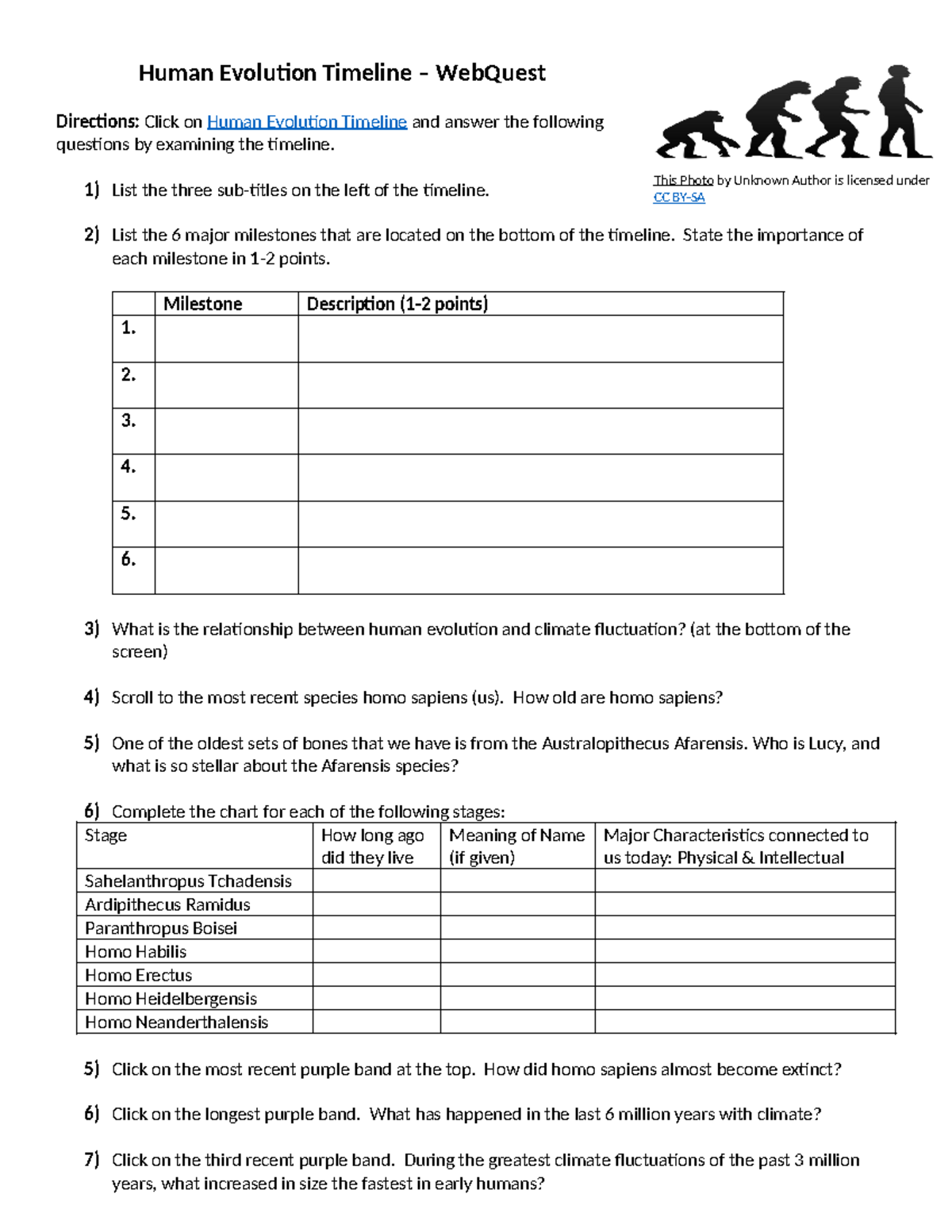 Human Evolution Timeline - 1) List the three sub-titles on the left of ...