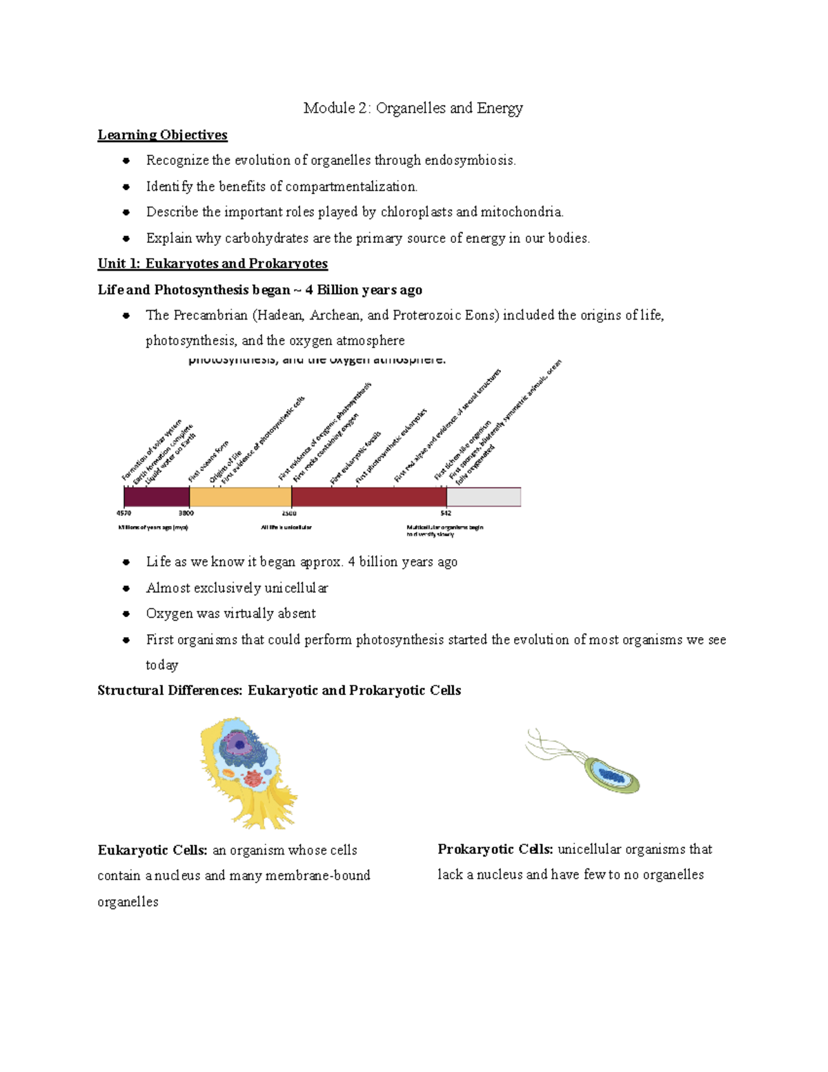 Module 2 Organelles and Energy - Module 2: Organelles and Energy ...