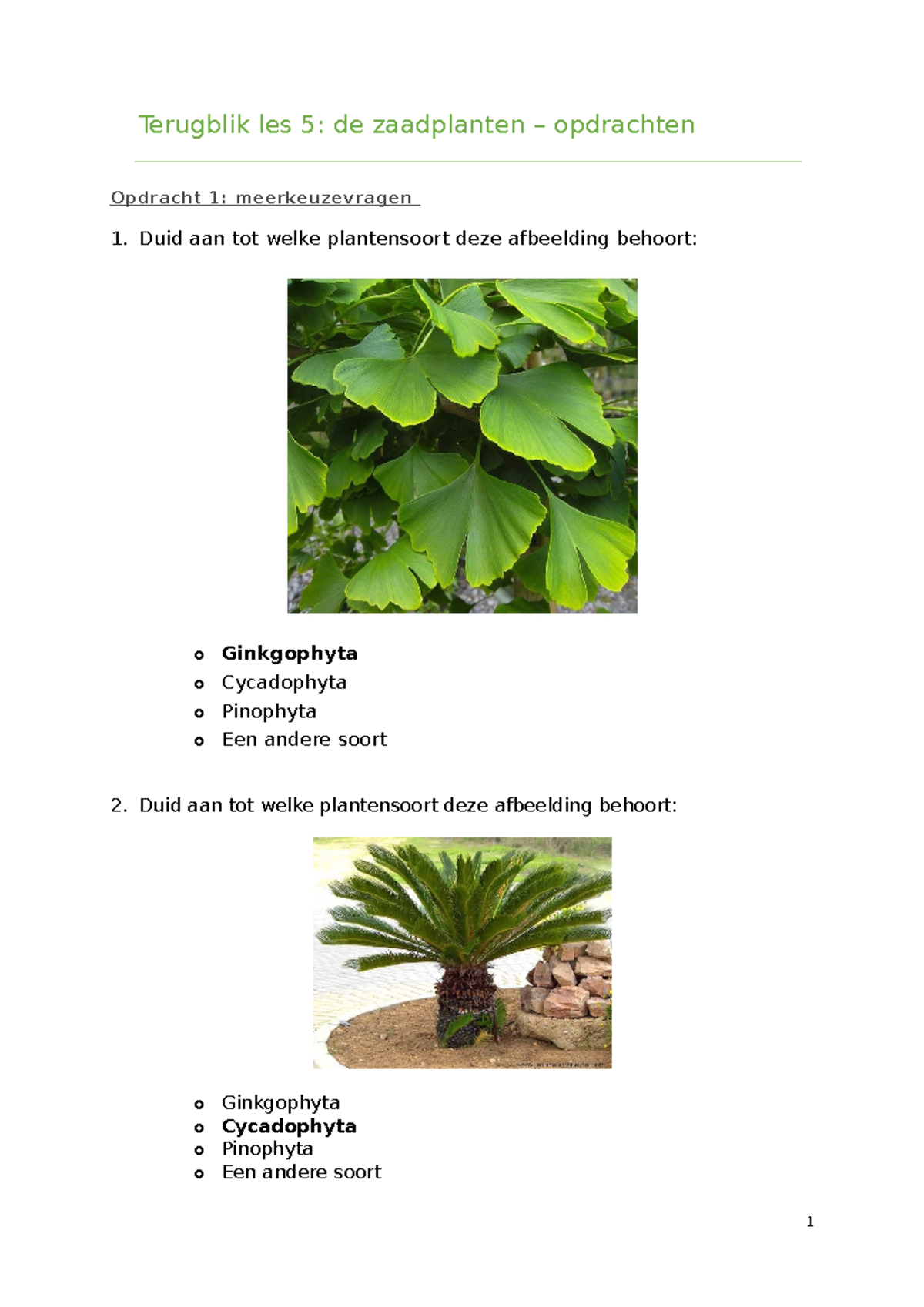 Plantkunde opdrachtje les 5 - Terugblik les 5: de zaadplanten ...