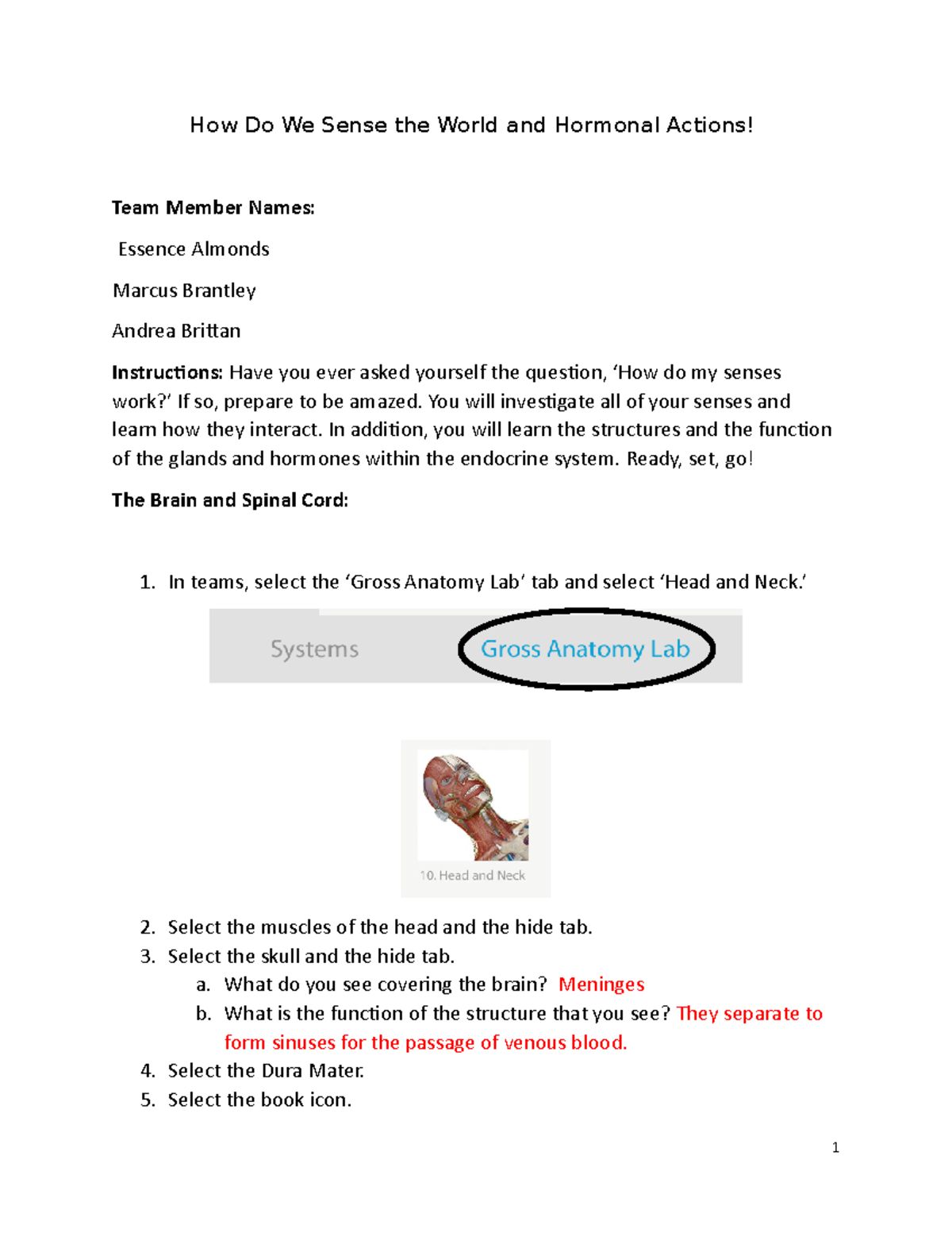 Week 4 Atlas App - Lab assignment - How Do We Sense the World and ...