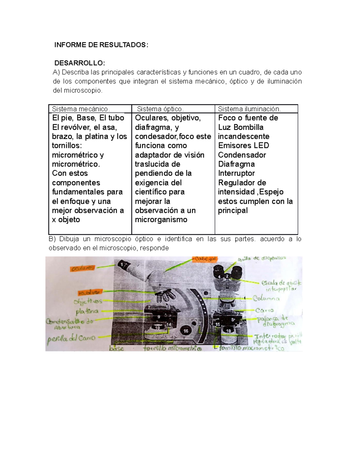 Informe micro fundamentos - INFORME DE RESULTADOS: DESARROLLO: A ...