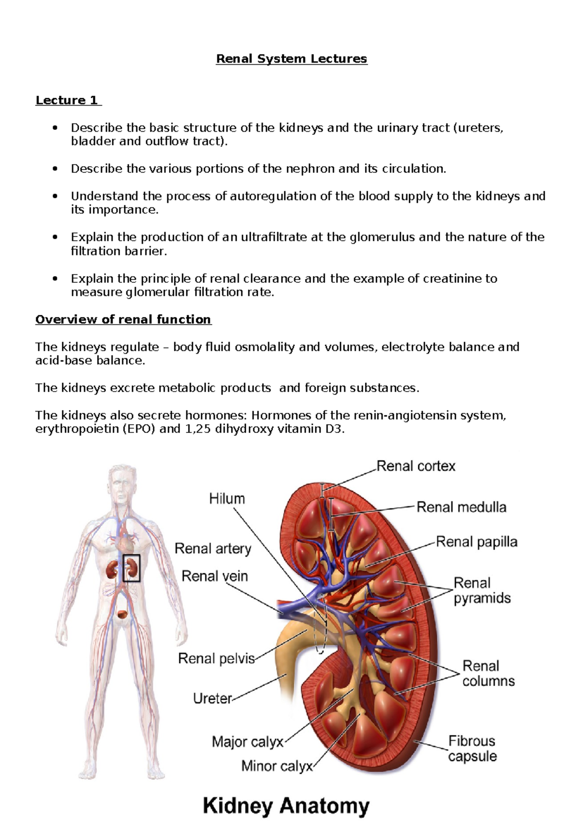 Renal lecture LOs - Renal System Lectures Lecture 1 Describe the basic ...