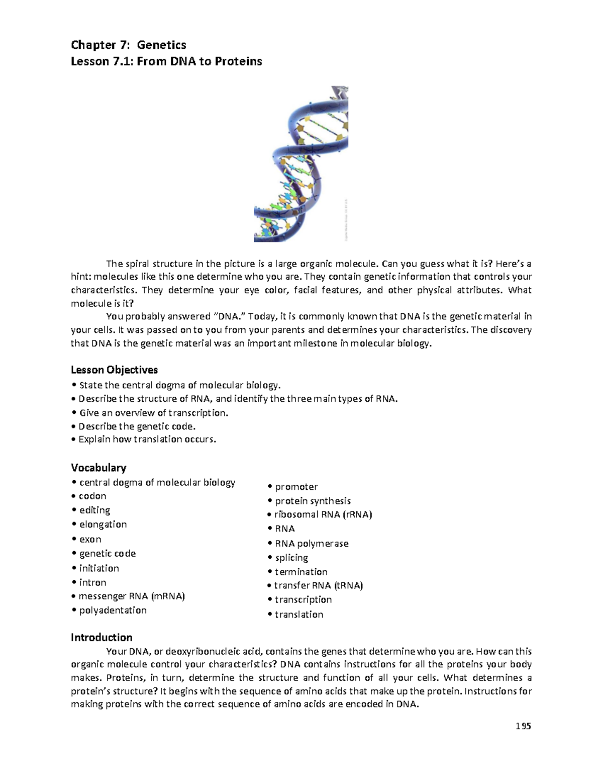 7 1 From DNA to Proteins - DNA TO PROTIN SYNTHESIS DNA TO PROTIN ...