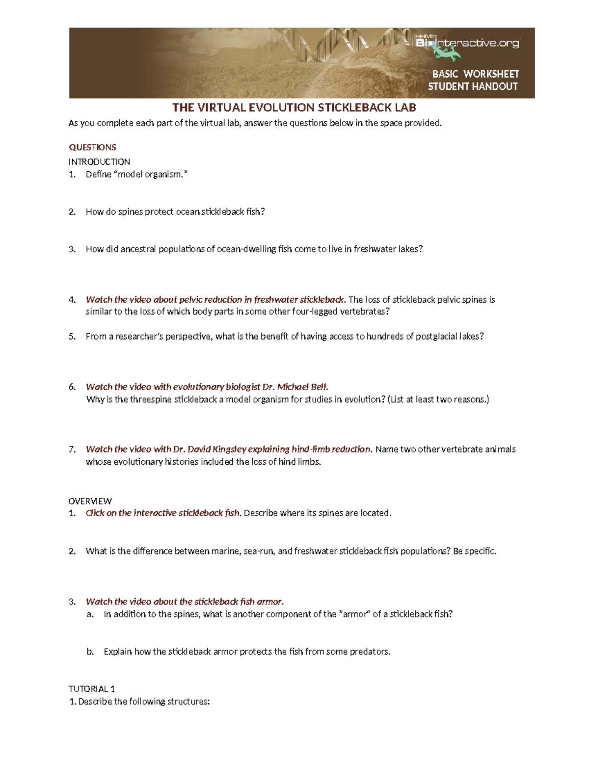 Stickleback Lab Handout - BASIC WORKSHEET STUDENT HANDOUT THE VIRTUAL ...