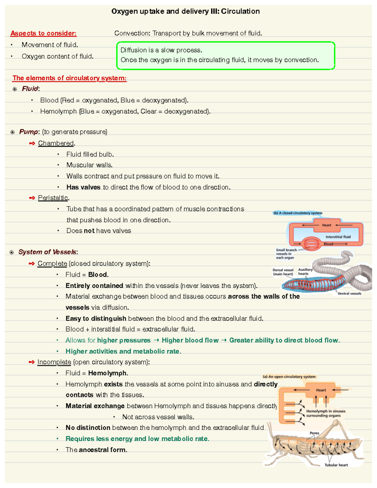 BIO2135 notes - Oxygen uptake and delivery III - circulation - Aspects ...
