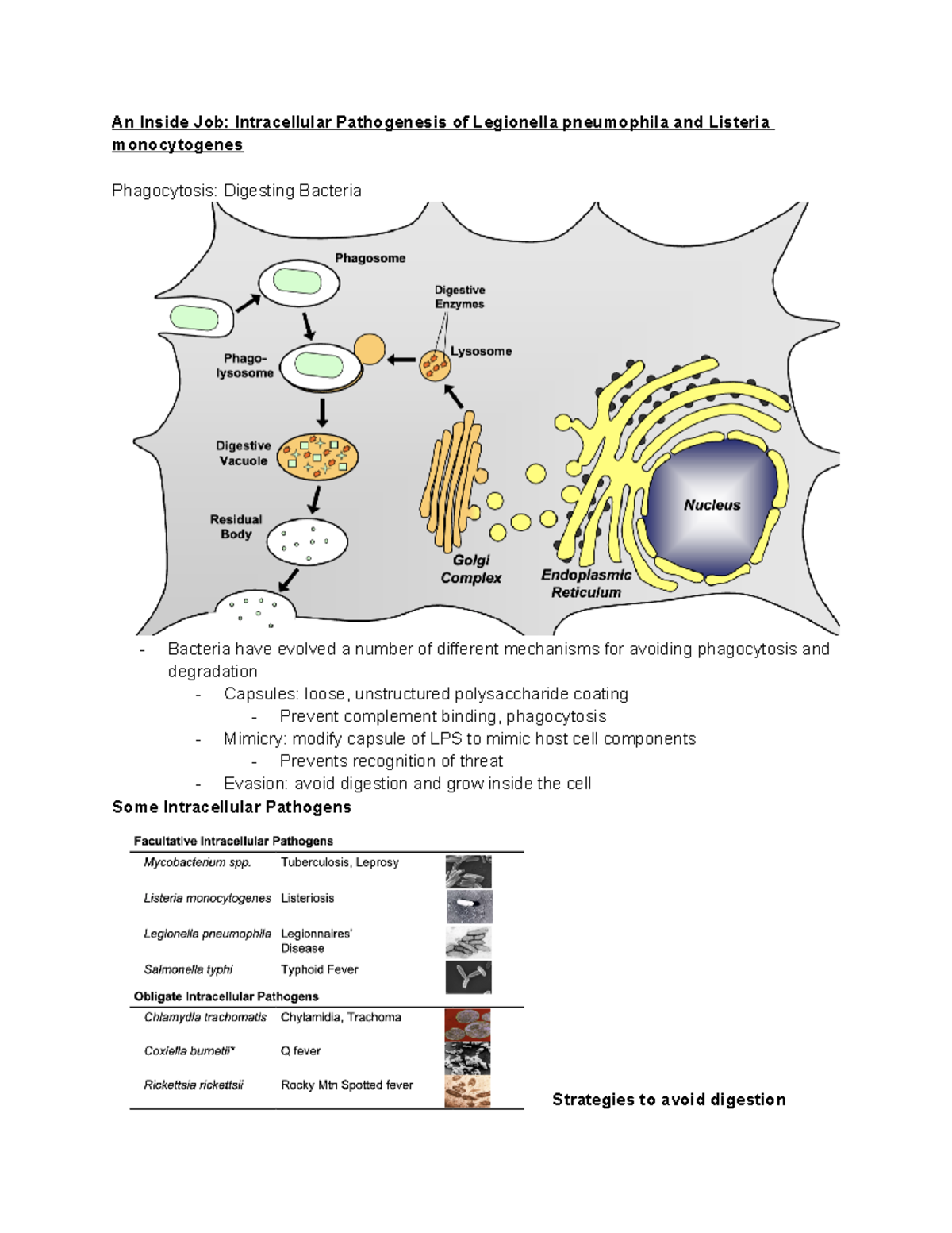 An Inside Job Intracellular Pathogenesis of Legionella pneumophila and ...
