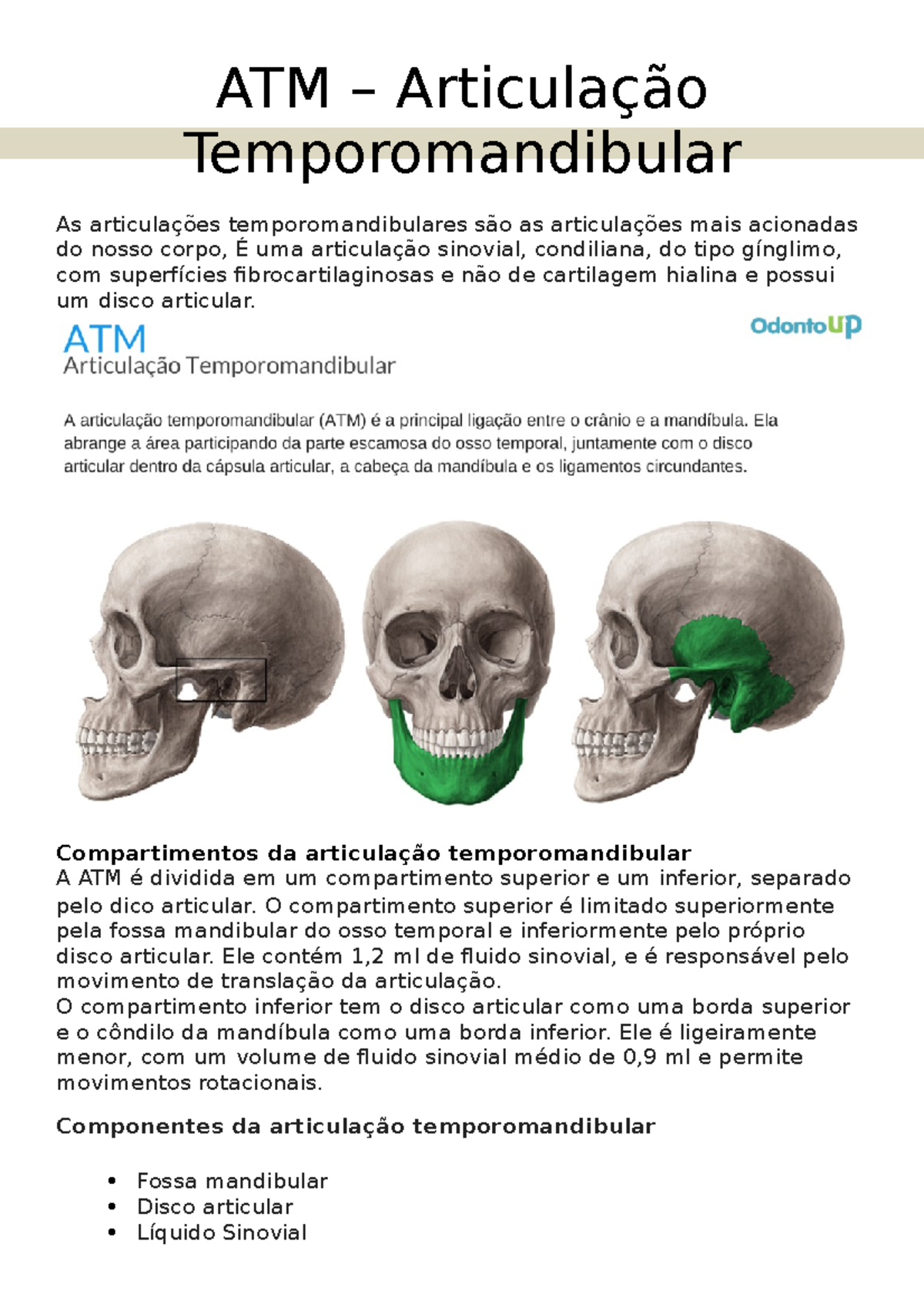 articulação temporomandibular, anatomia cabeça e pescoço - ATM ...