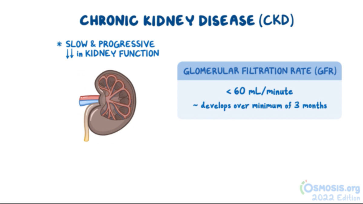 CKD Notes GIGU CLASS - ENC1102 - Studocu