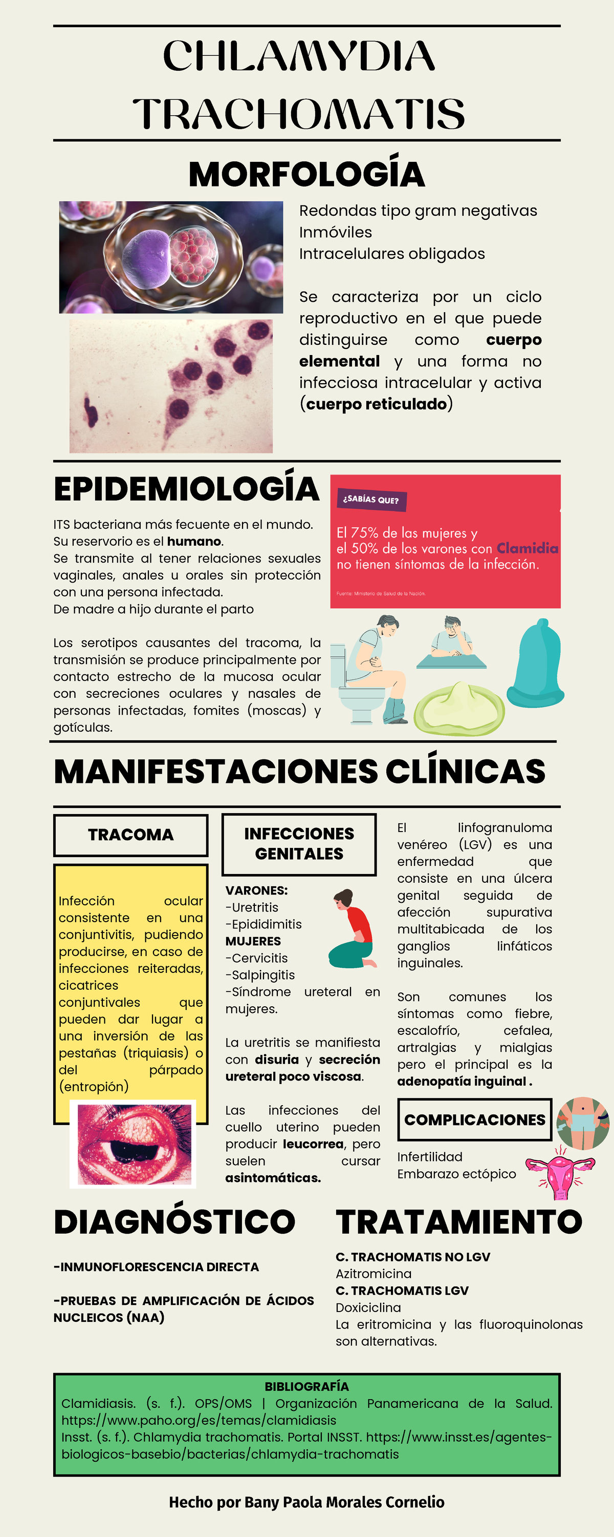 Clamydia - CHLAMYDIA TRACHOMATIS Infección ocular consistente en una ...