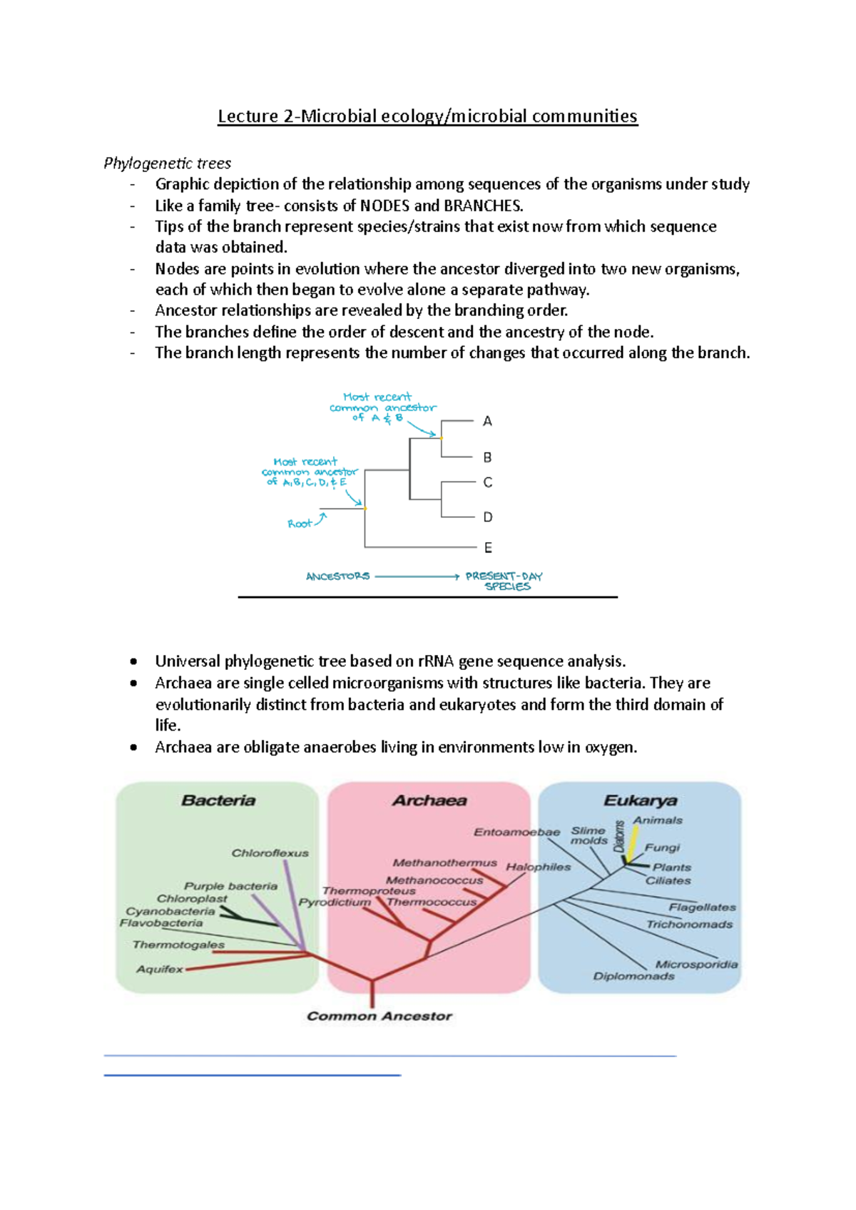 Lecture 2 - Lecture 2-Microbial ecology/microbial communities ...