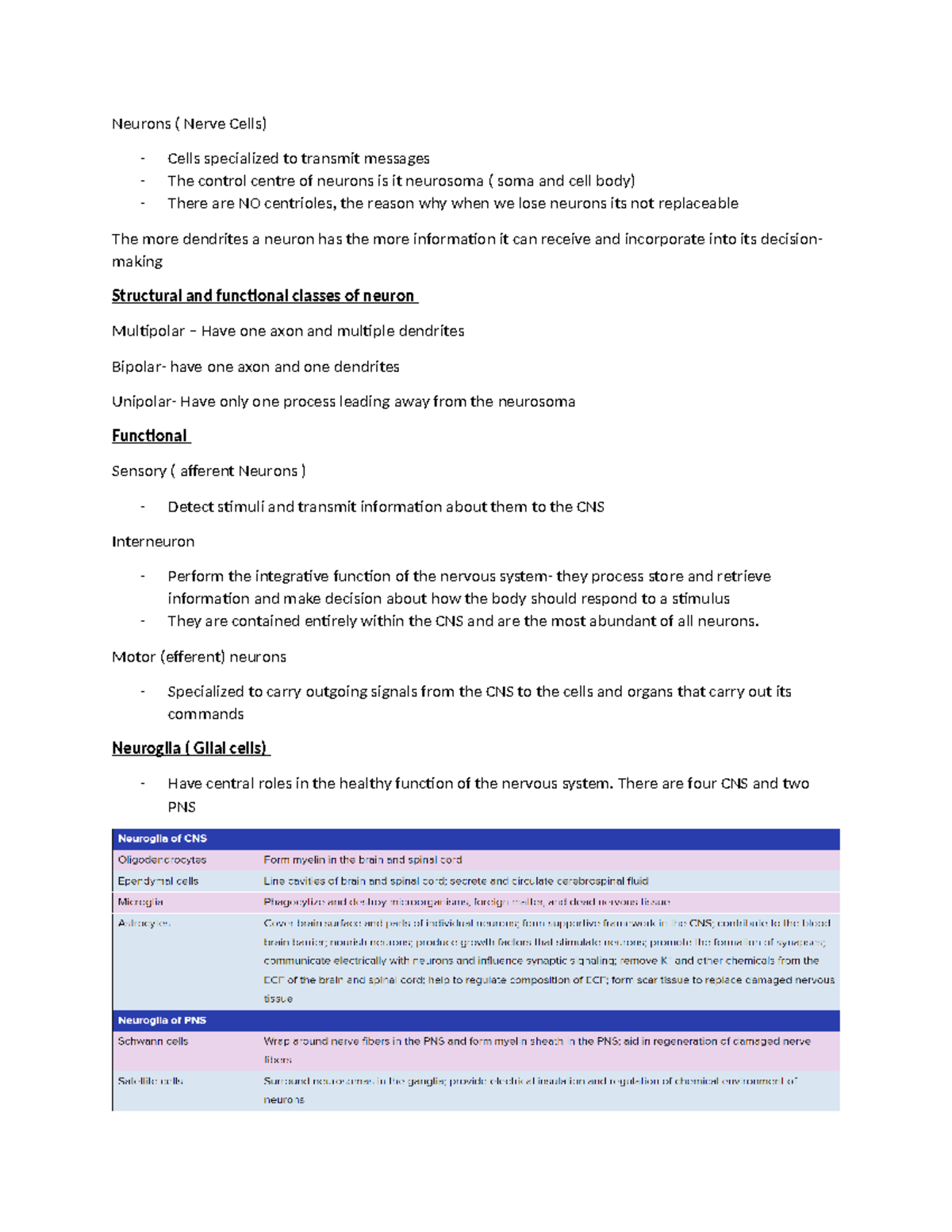 Nervous System Part 1 - Neurons ( Nerve Cells) - Cells specialized to ...