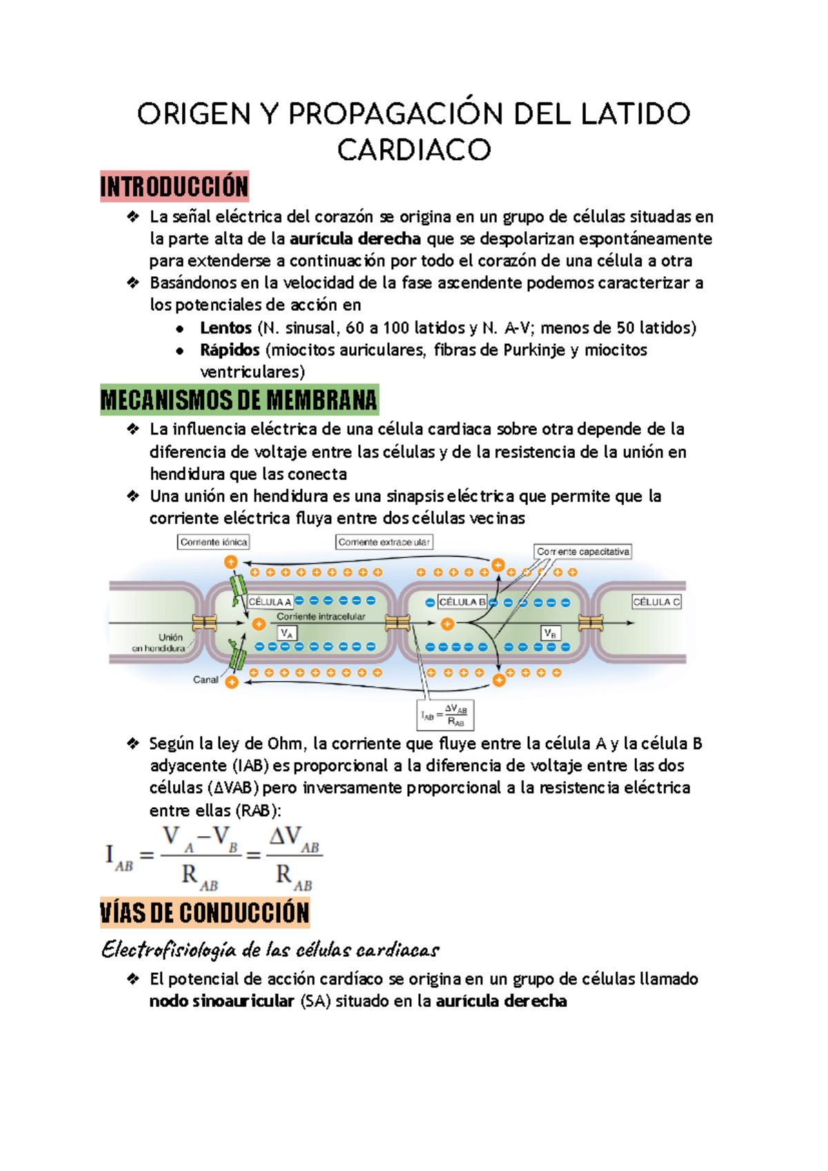 Teórico-Origen y propagación del latido cardíaco - ORIGEN Y PROPAGACIÓN ...