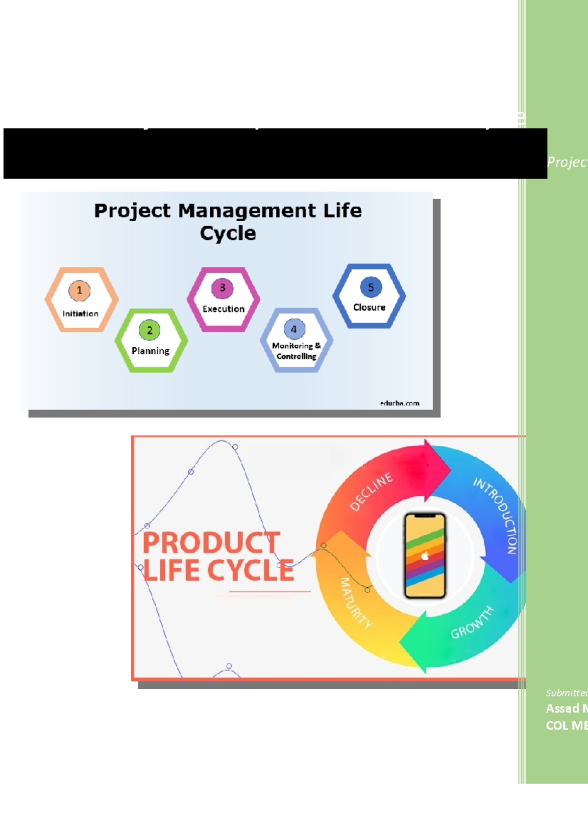 PM-assignment 1- Assad - Project Submitted Assad M COL MB Project Life ...