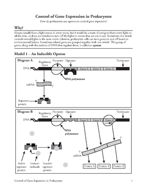 AP Bio 3.6 Input, Output Student Chart - BIOL 101 - Cellular ...