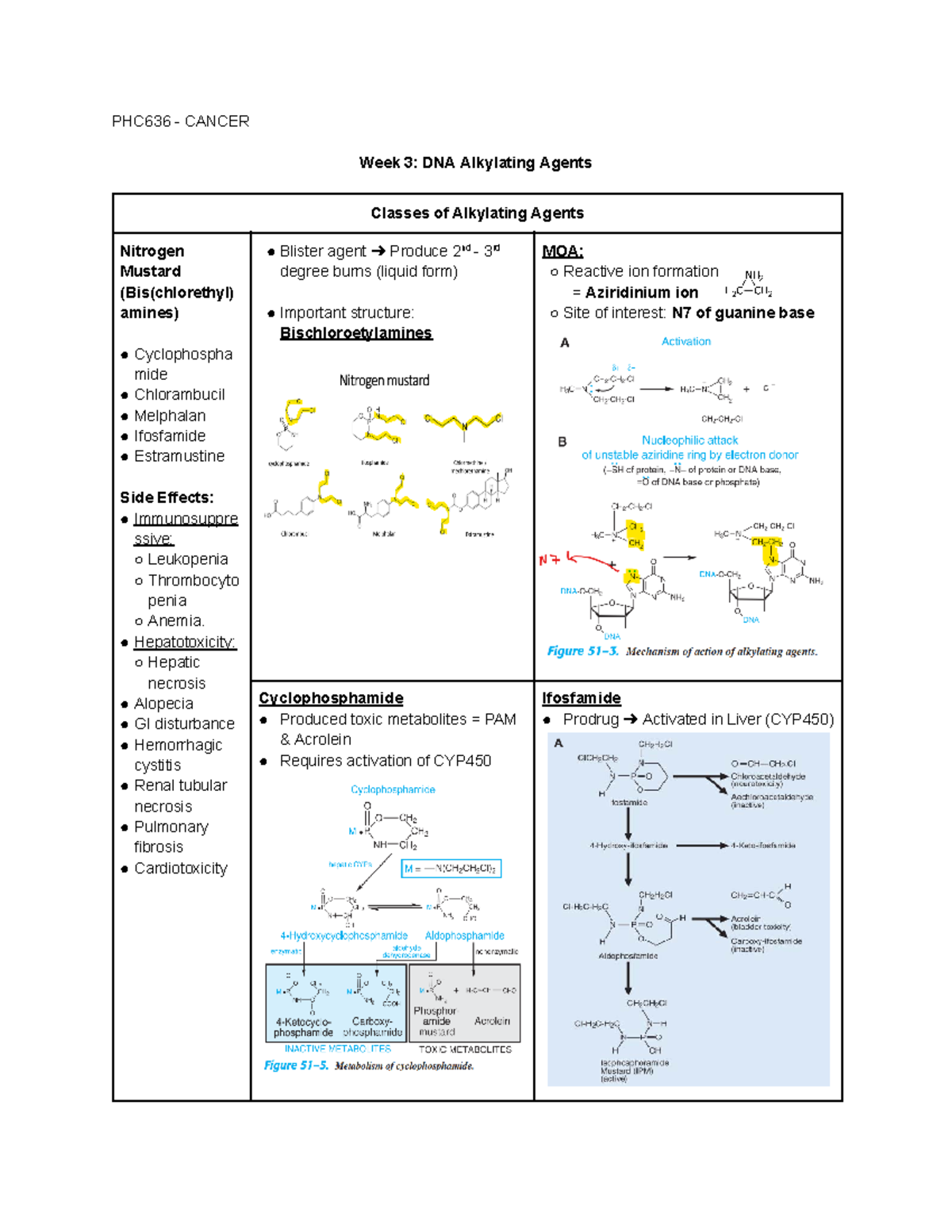 Alkylating Agents - PHC636 - CANCER Week 3: DNA Alkylating Agents ...