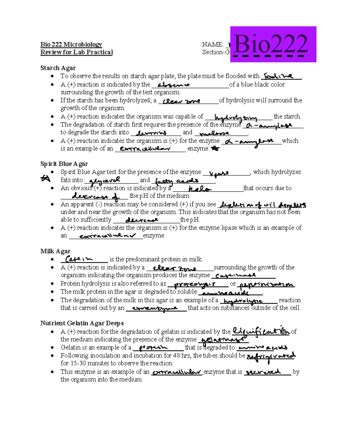 Bio 222 Review - Bio 222 Microbiology NAME ...
