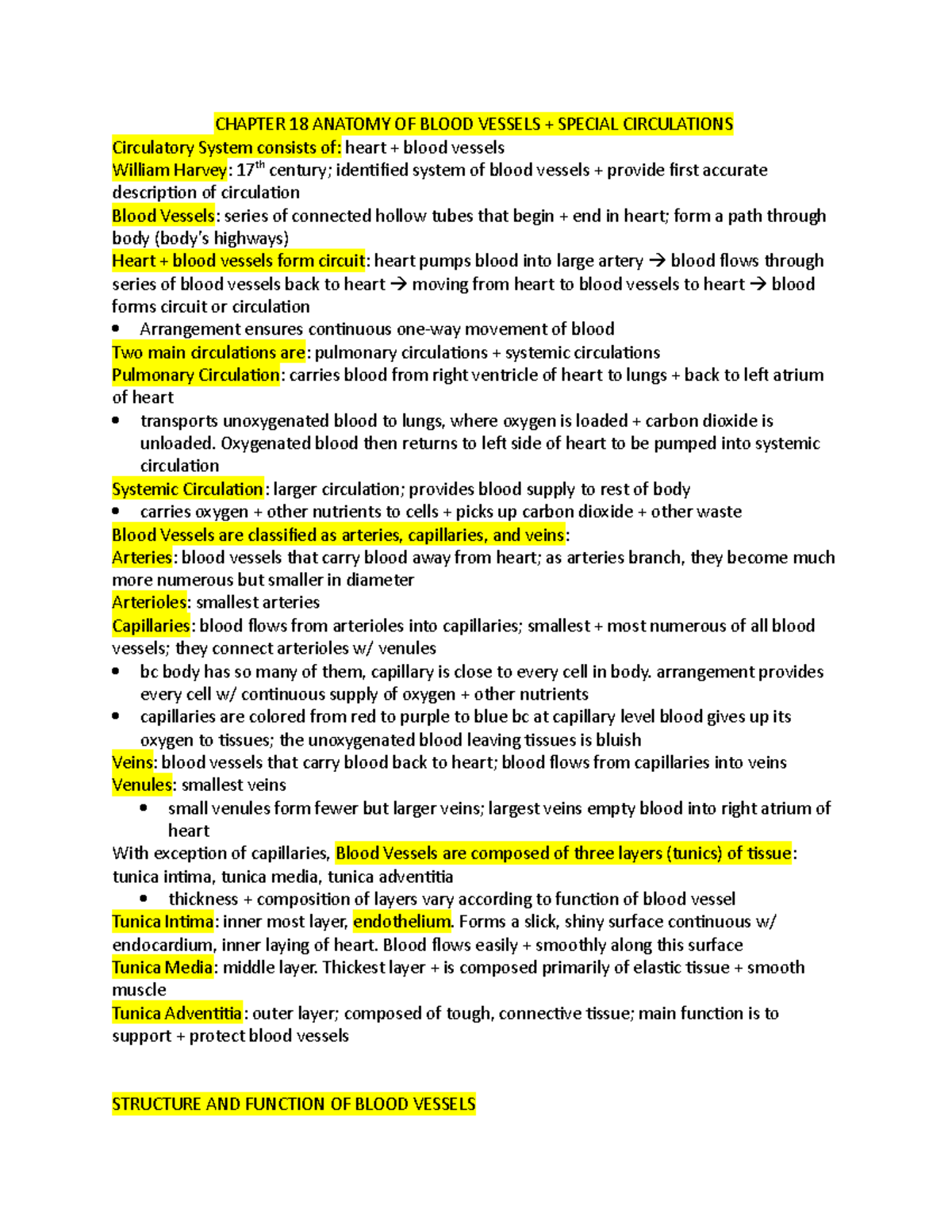CH 18 CH 19 - ch 18 ch 19 term 1 - CHAPTER 18 ANATOMY OF BLOOD VESSELS ...