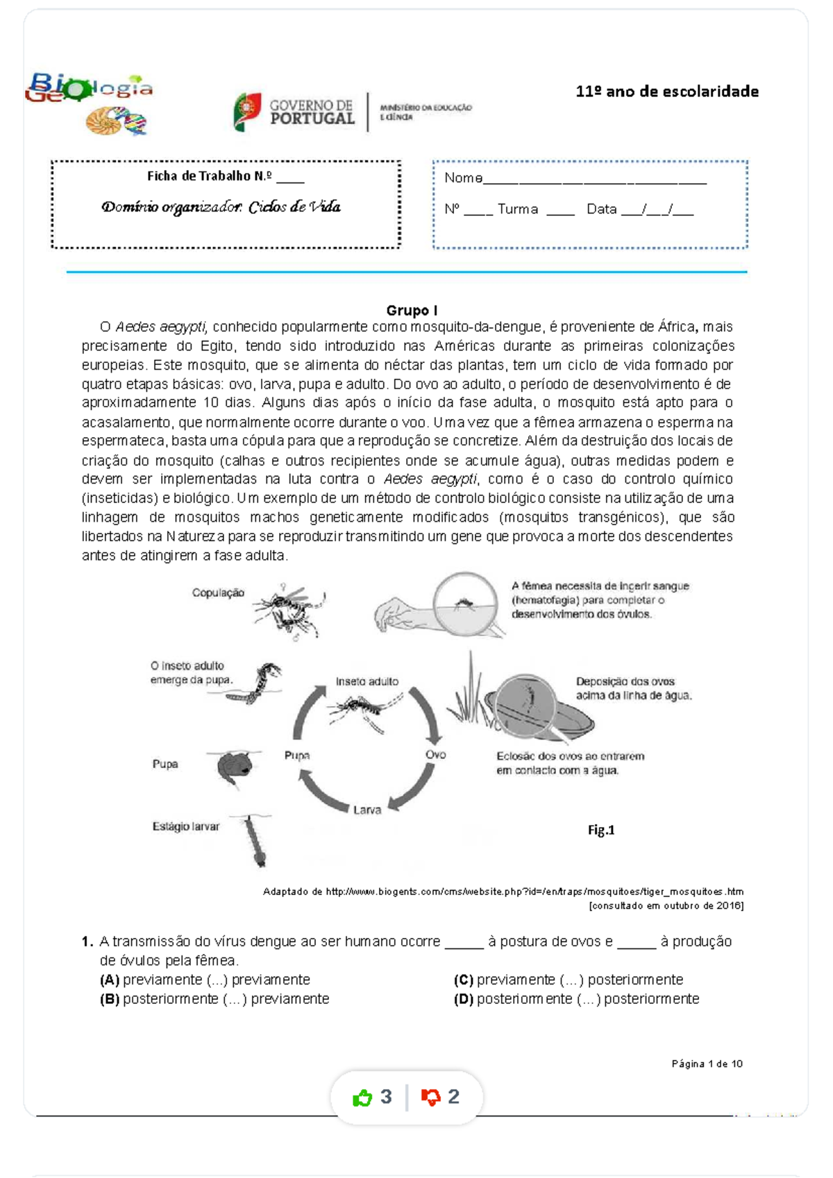 Dlstudocu - Dhhddh - Página 1 de 10 Ficha de Trabalho N.º ____ Domínio ...
