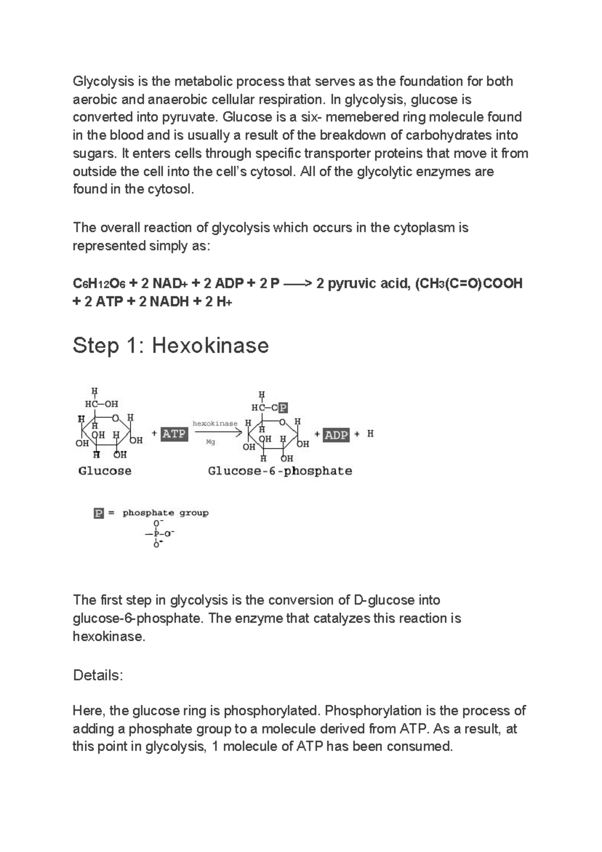 glycolysis cycle - Glycolysis is the metabolic process that serves as ...