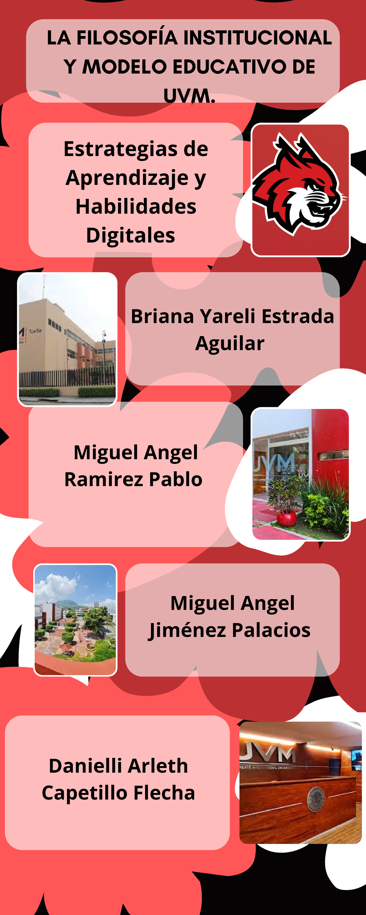 Infografía UVM - Infografía hitos Uvm - LA FILOSOFÍA INSTITUCIONAL Y ...