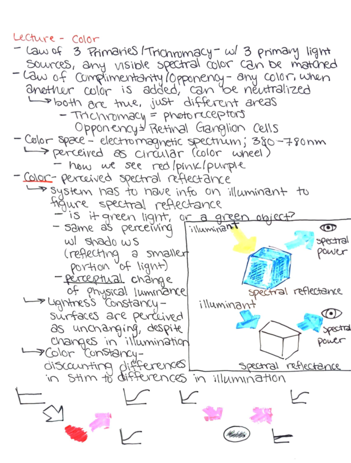 Week 11 Lecture And Assigned Reading Notes Lecture Color Law Of 3